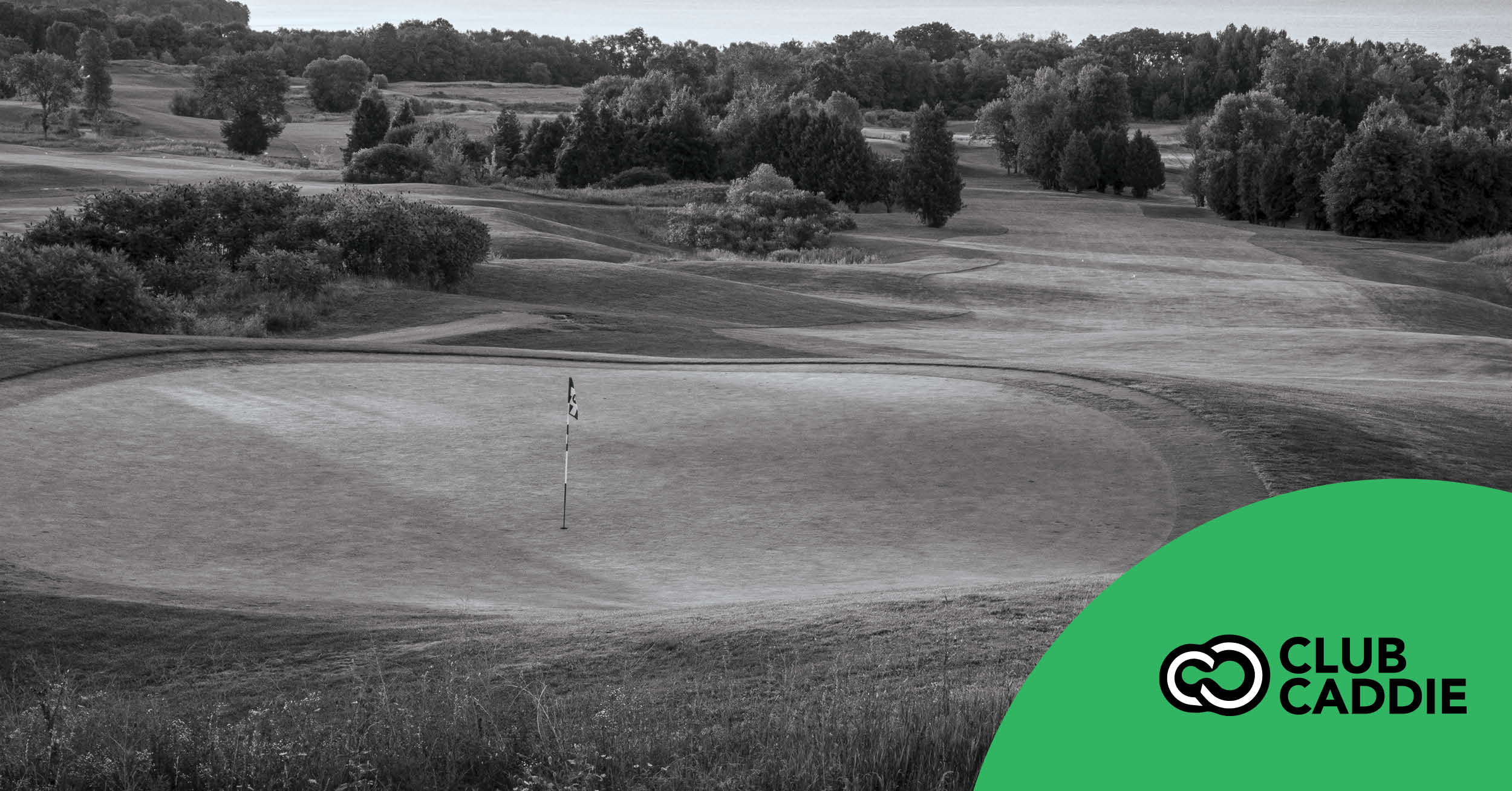 Navigating Golf Course Management Solutions: All-In-One Application vs ...